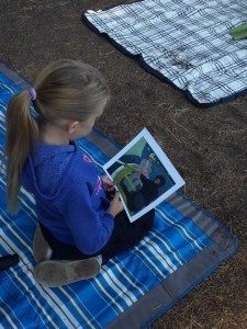 PICTURE STUDY – Charlotte Mason Redding